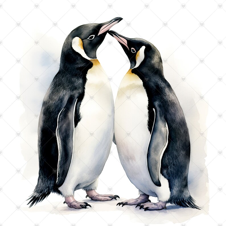 Penguin Couple in Love Clipart Bundle 10 High Quality - Etsy
