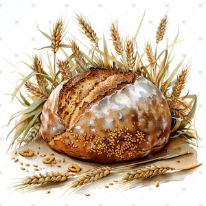 Rustic Bread With Wheat Clipart Bundle- 10 High Quality Watercolor Jpgs ...