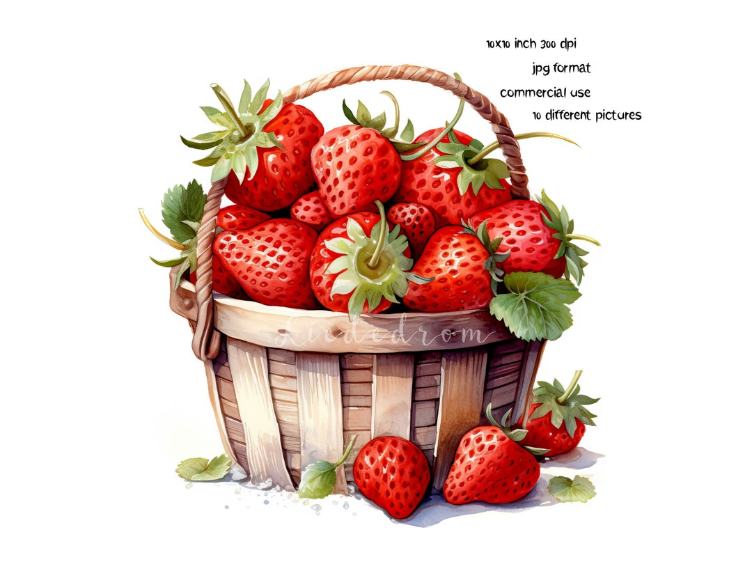 Strawberry Basket Clipart Bundle 10 High Quality Watercolor - Etsy