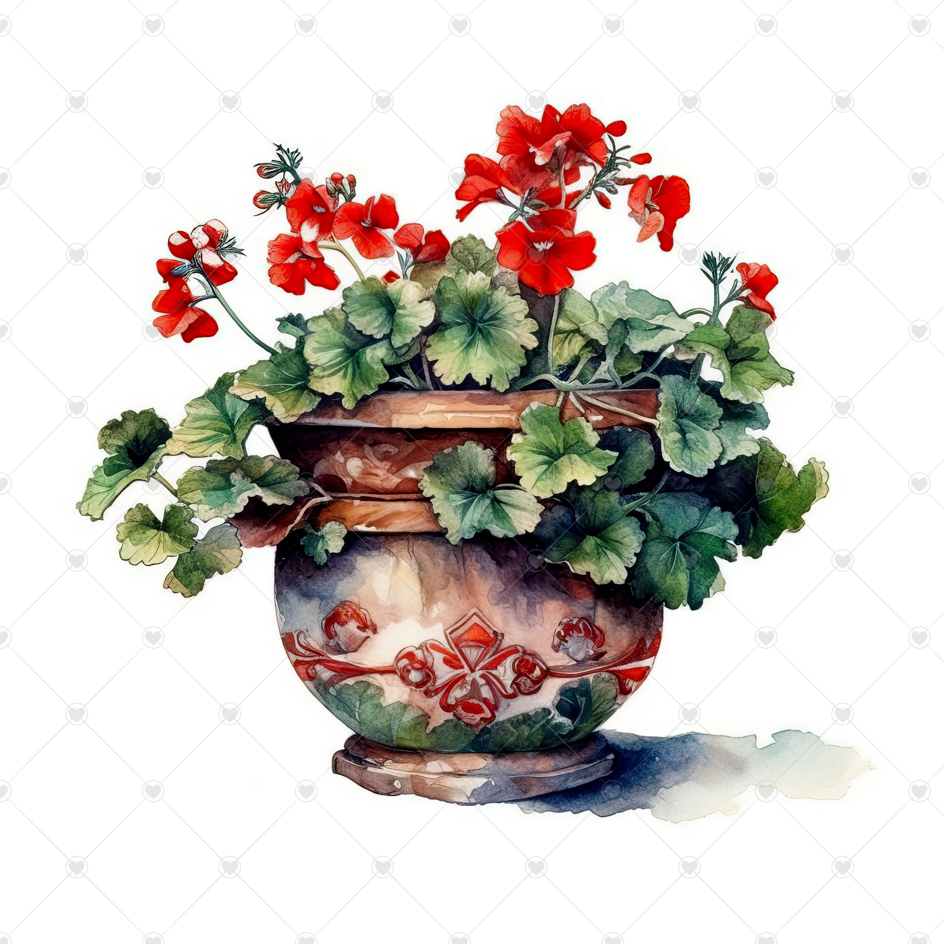 Geraniums in Flower Pot Clipart Bundle 10 High Quality - Etsy