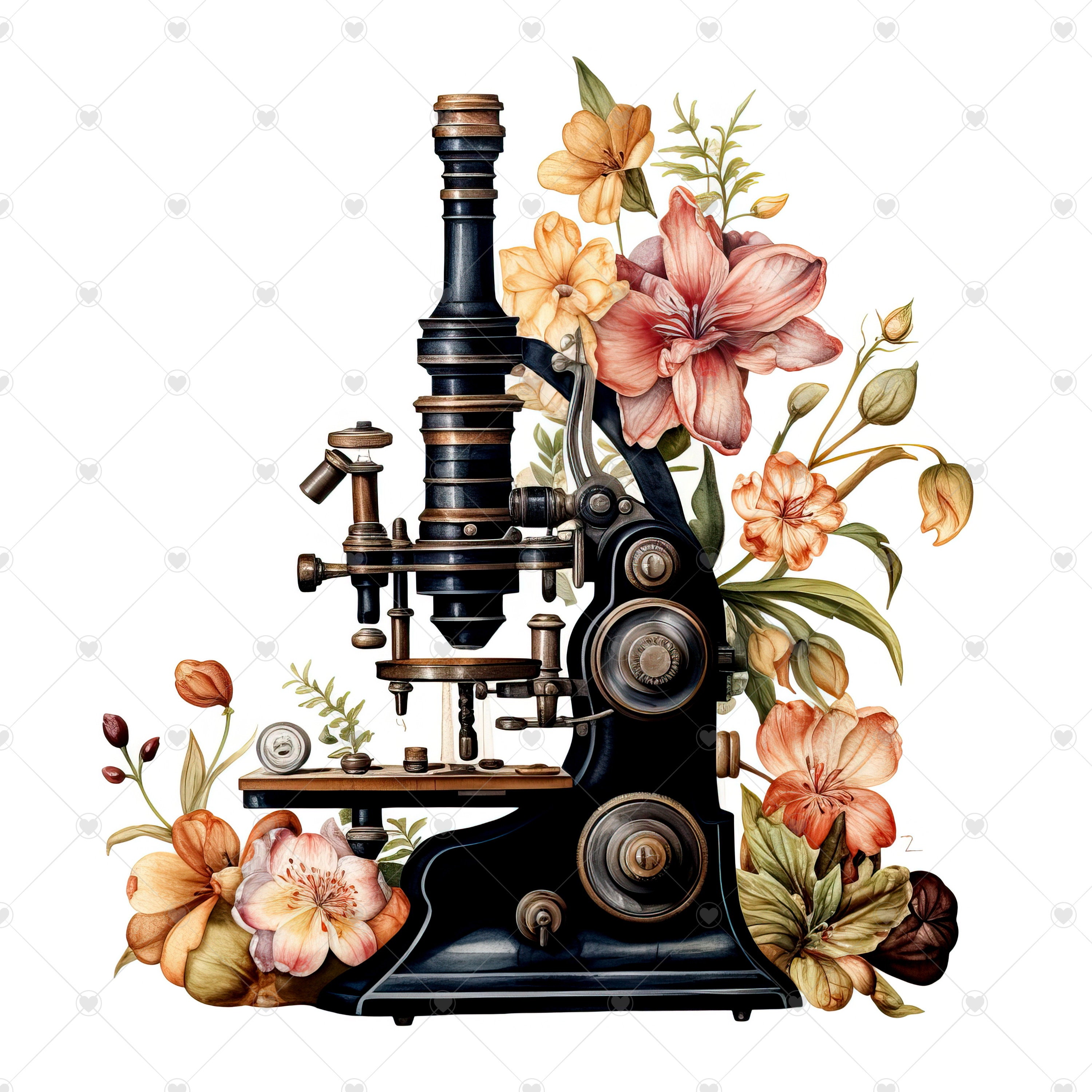 Vintage Microscope With Flowers Clipart Bundle 10 High - Etsy