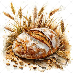 Rustic Bread With Wheat Clipart Bundle- 10 High Quality Watercolor Jpgs ...