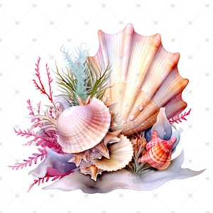 Seashells in Ocean Clipart Bundle- 10 High Quality Watercolor Jpgs- Sea ...