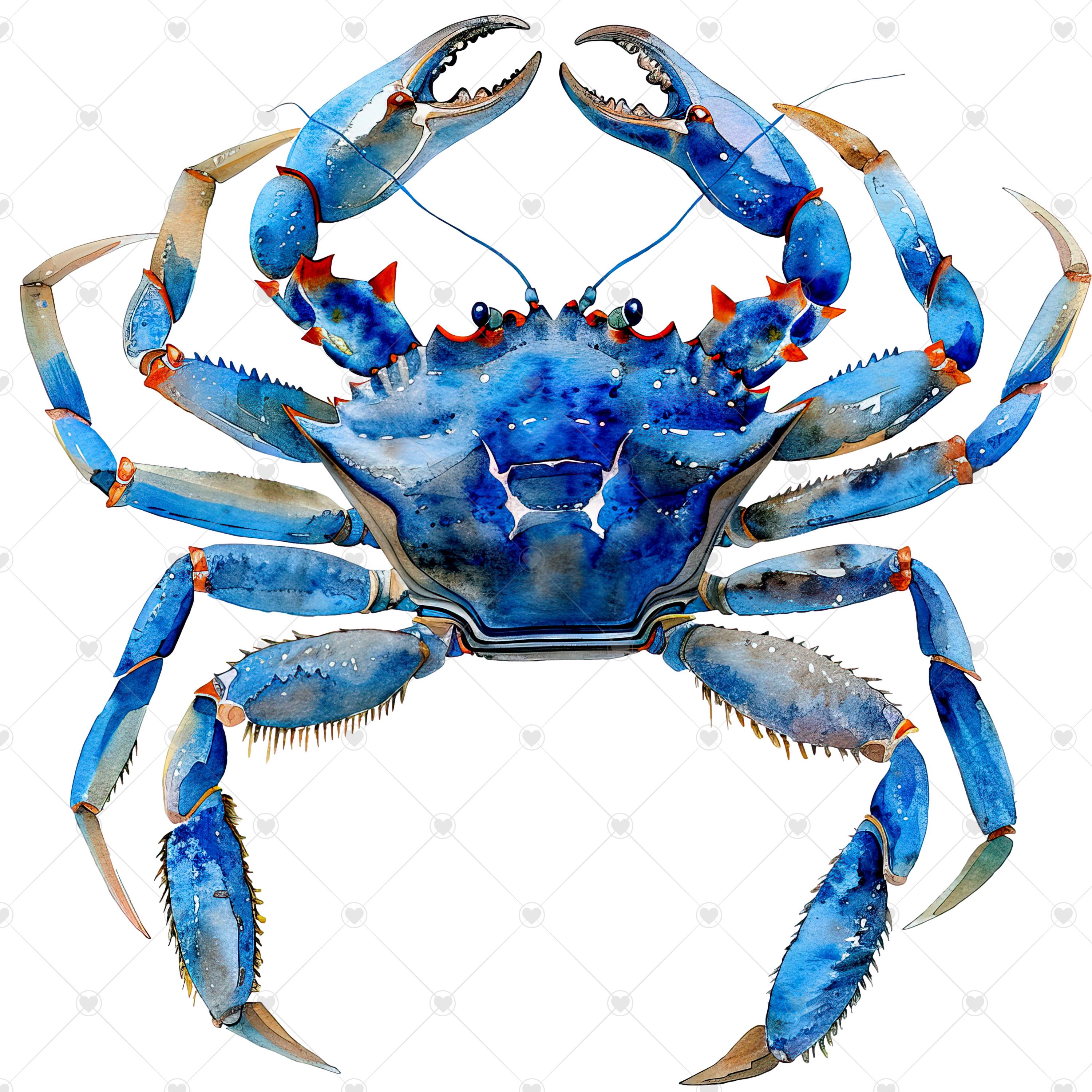 Blue Crab PNG Clipart Bundle- Digital Download - Etsy Canada