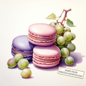 Pastel Macarons With Grapes Clipart Bundle 10 High Quality Watercolor ...