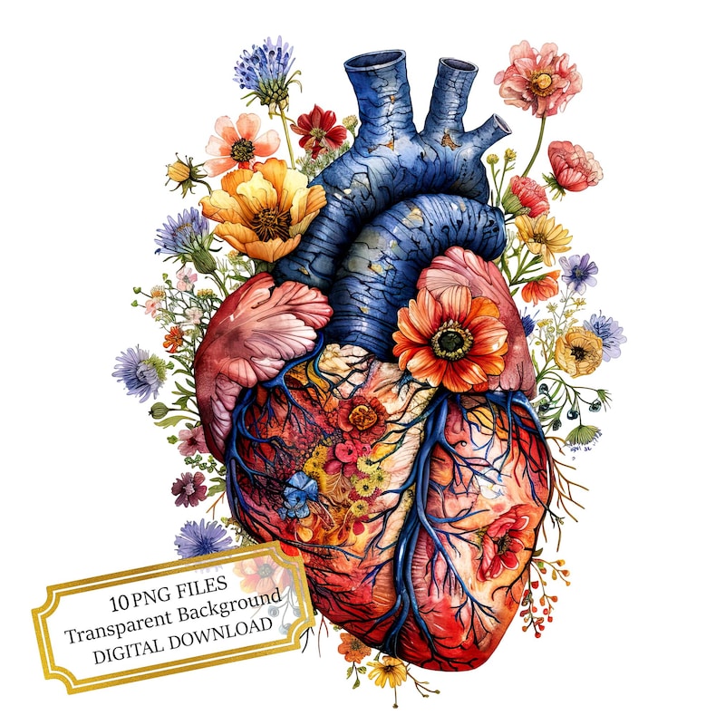 Anatomical Birth Art - Etsy