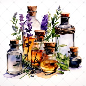 Essential Oils With Herbs Clipart Bundle- 10 High Quality Watercolor ...