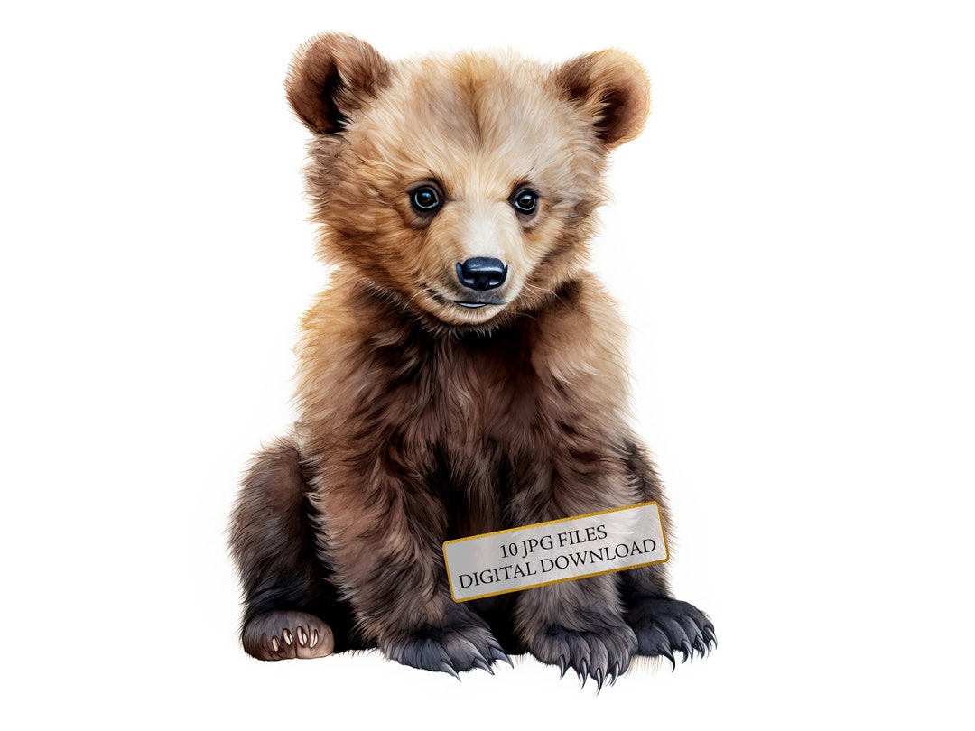 Cute Bear Cub Clipart Bundle- 10 High Quality Watercolor Jpgs- Pet Art ...
