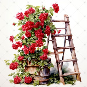 Wooden Step Ladder With Red Roses Clipart Bundle- 10 High Quality ...