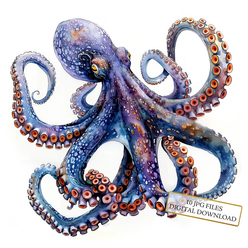 Octopus Watercolor - Etsy