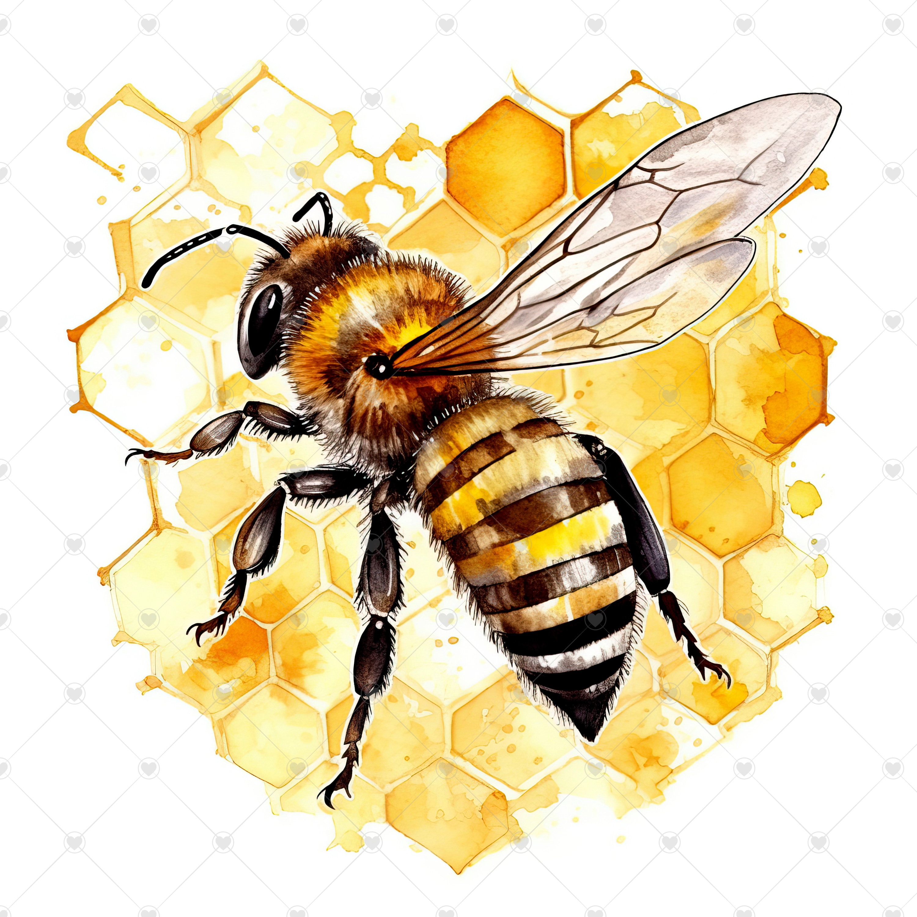 Honey Bee Clipart Bundle 10 High Quality Watercolor Jpgs - Etsy