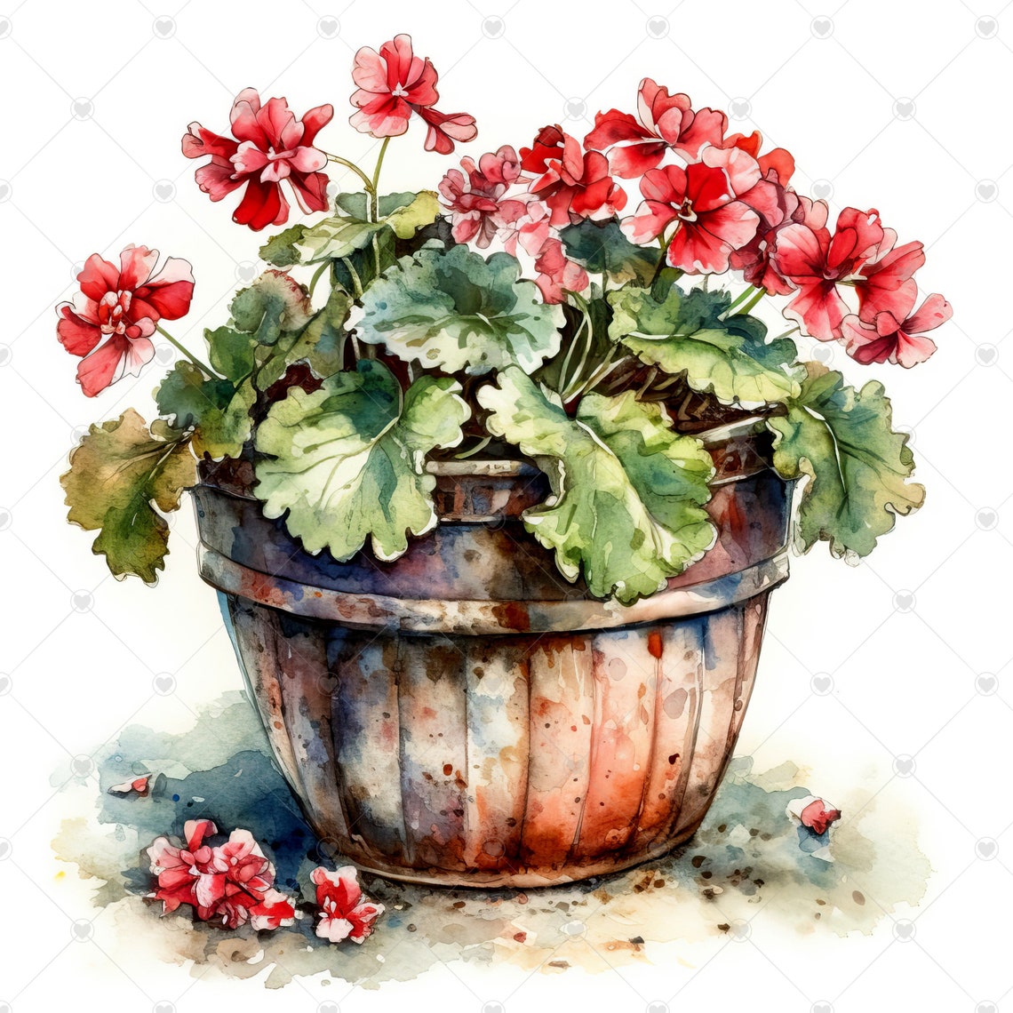 Geraniums in Flower Pot Clipart Bundle 10 High Quality - Etsy