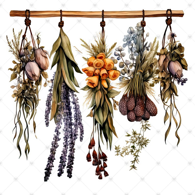Dried Flowers and Herbs Clipart Bundle 10 High Quality - Etsy