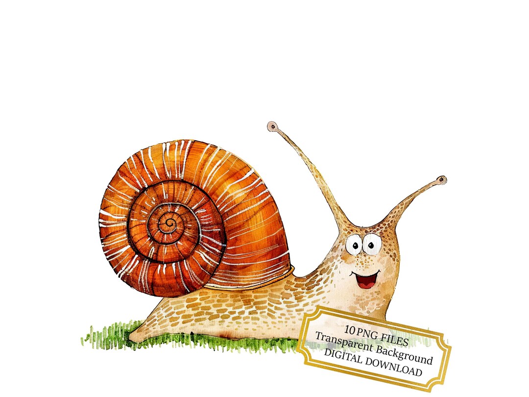 Adorable Silly Snail PNG Clipart Bundle- Digital Download - Etsy UK