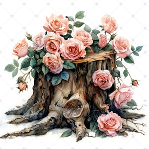 Pink Roses Growing Out of a Tree Stump JPG Clipart Bundle- Digital ...