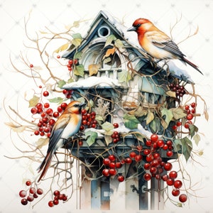 Birdhouse in Snowy Winter Clipart Bundle- 10 High Quality Watercolor ...