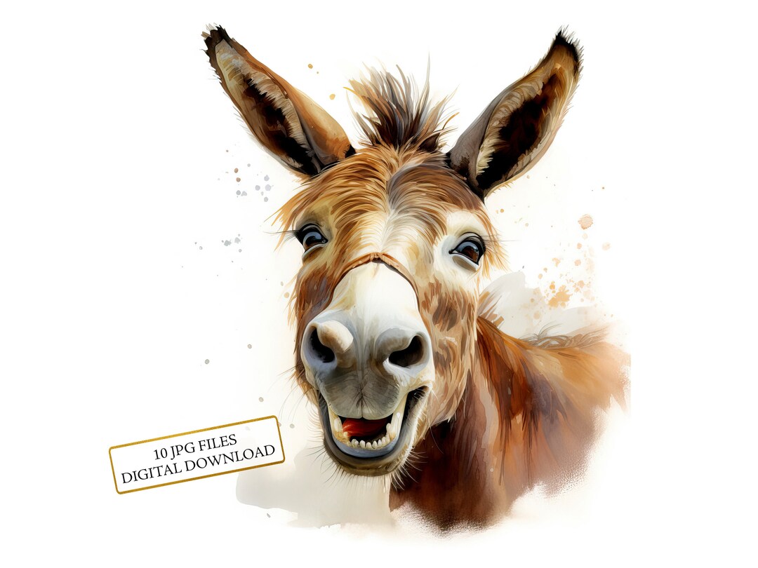 Adorable Happy Donkey Smiling Clipart Bundle- 10 High Quality ...