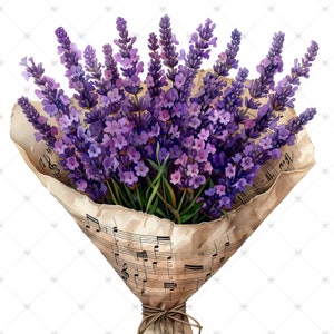 Lavender Bouquet in Music Notes Clipart Bundle- 10 High Quality ...