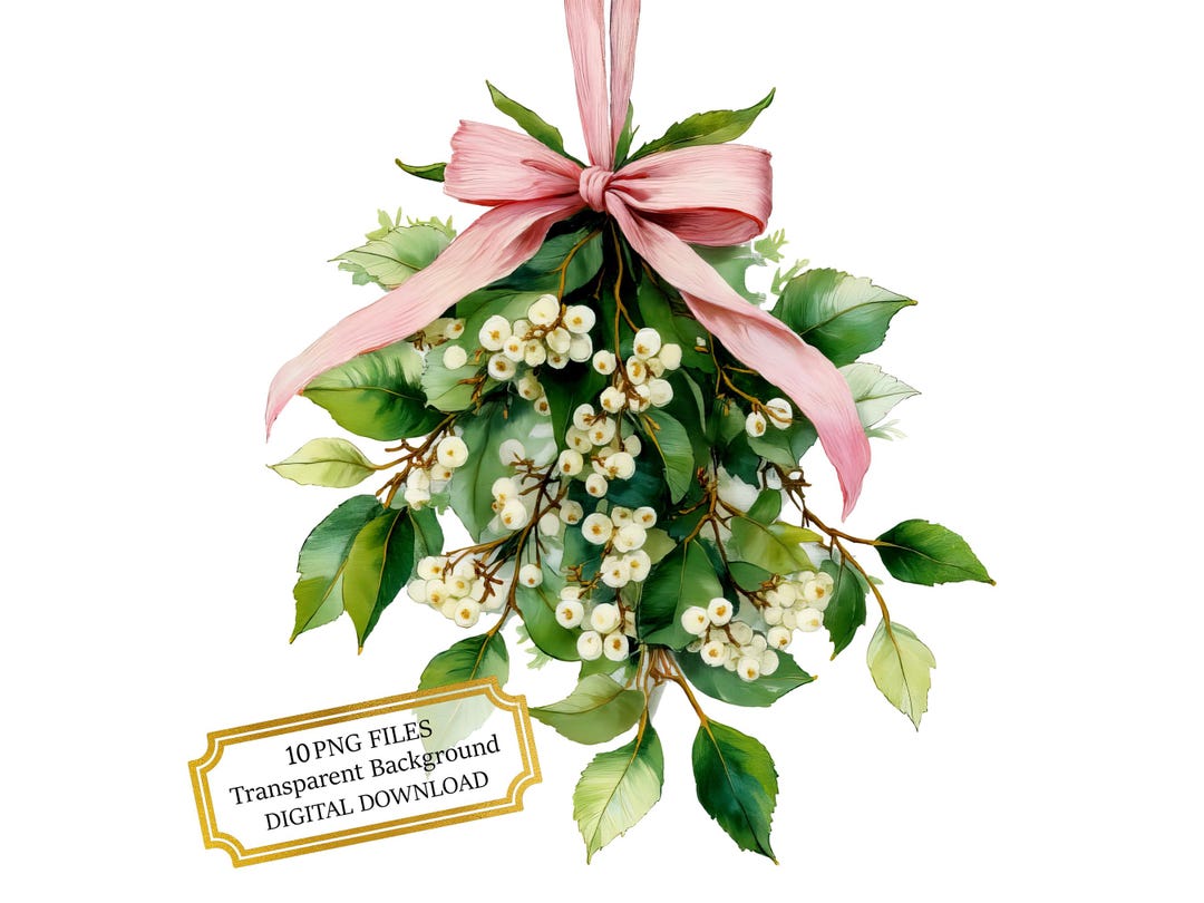 Mistletoe With Pink Ribbon PNG Clipart Bundle- Digital Download - Etsy
