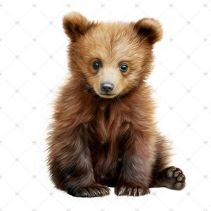 Cute Bear Cub Clipart Bundle- 10 High Quality Watercolor Jpgs- Pet Art ...