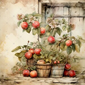 Shabby Chic Harvest of Apples Clipart Bundle- 10 High Quality ...