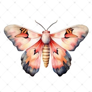 Pastel Pink Moth Clipart Bundle- 10 High Quality Watercolor Jpgs ...