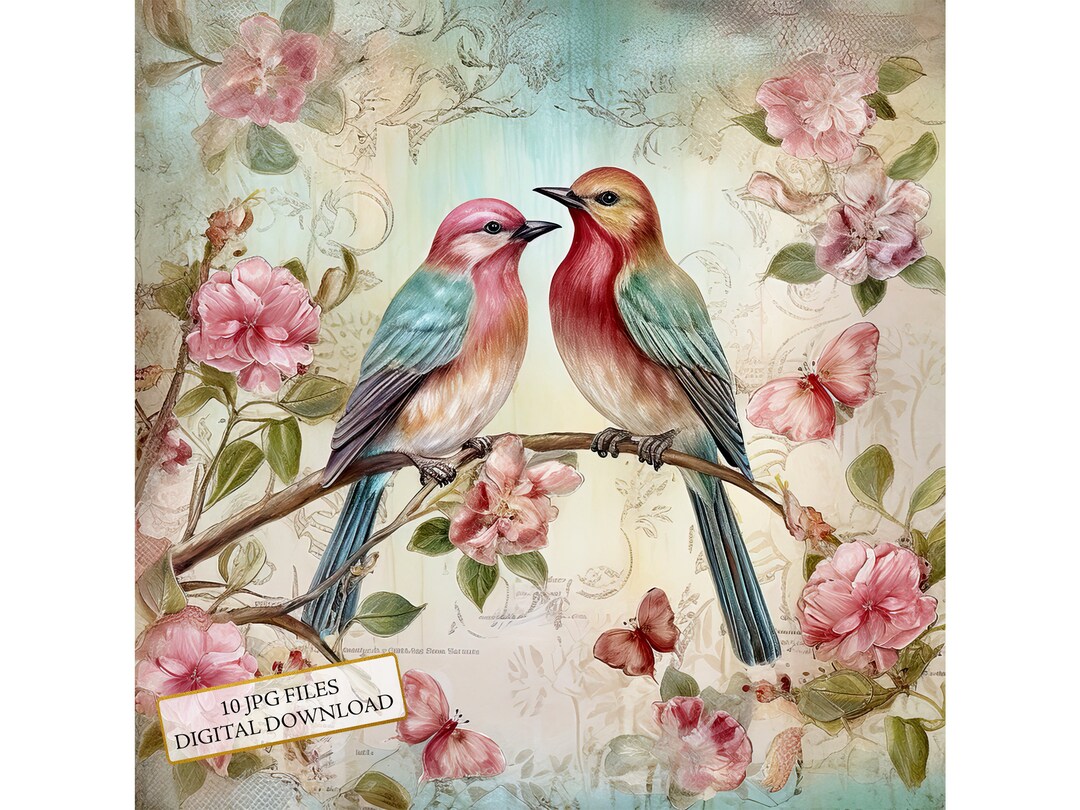 Shabby Chic Valentine Love Birds With Flowers JPG Clipart Bundle ...