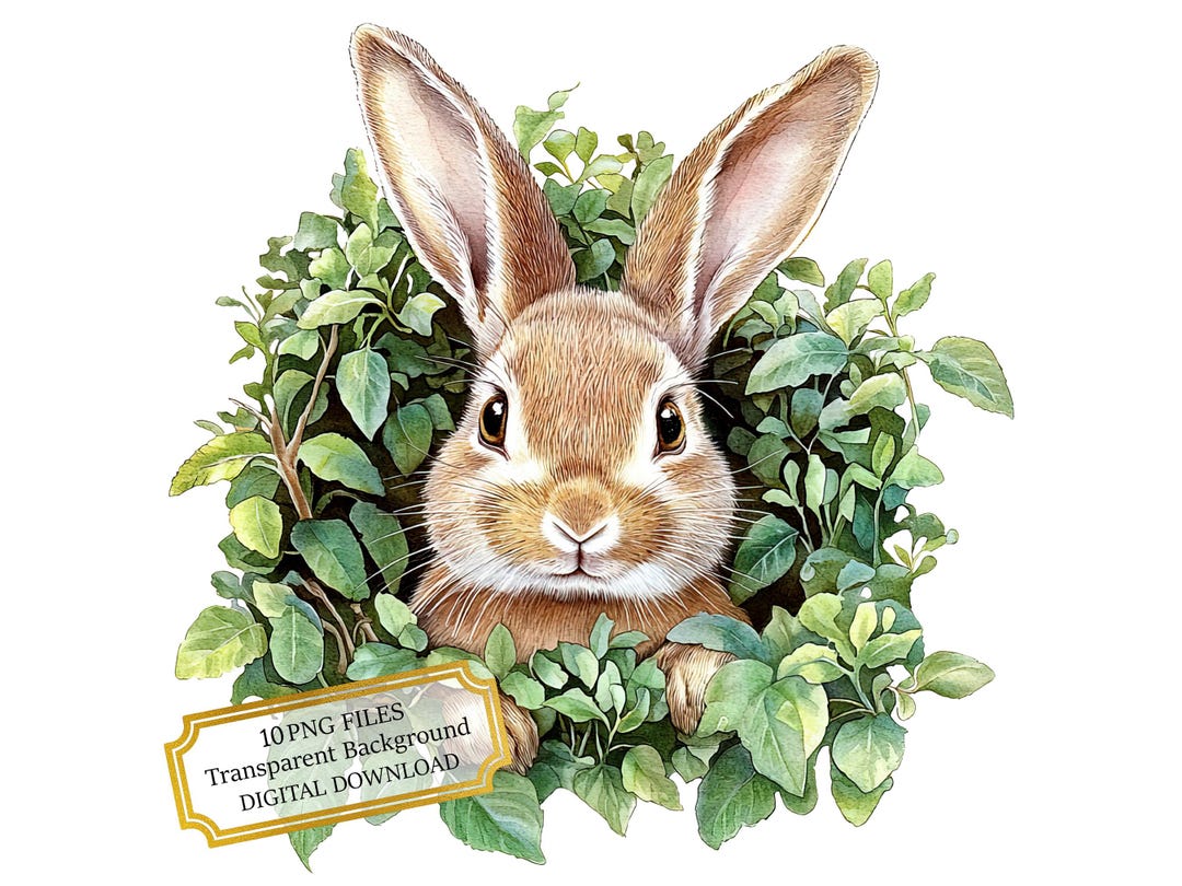 Bunny Peeking From the Hedge PNG Clipart Bundle- Digital Download - Etsy