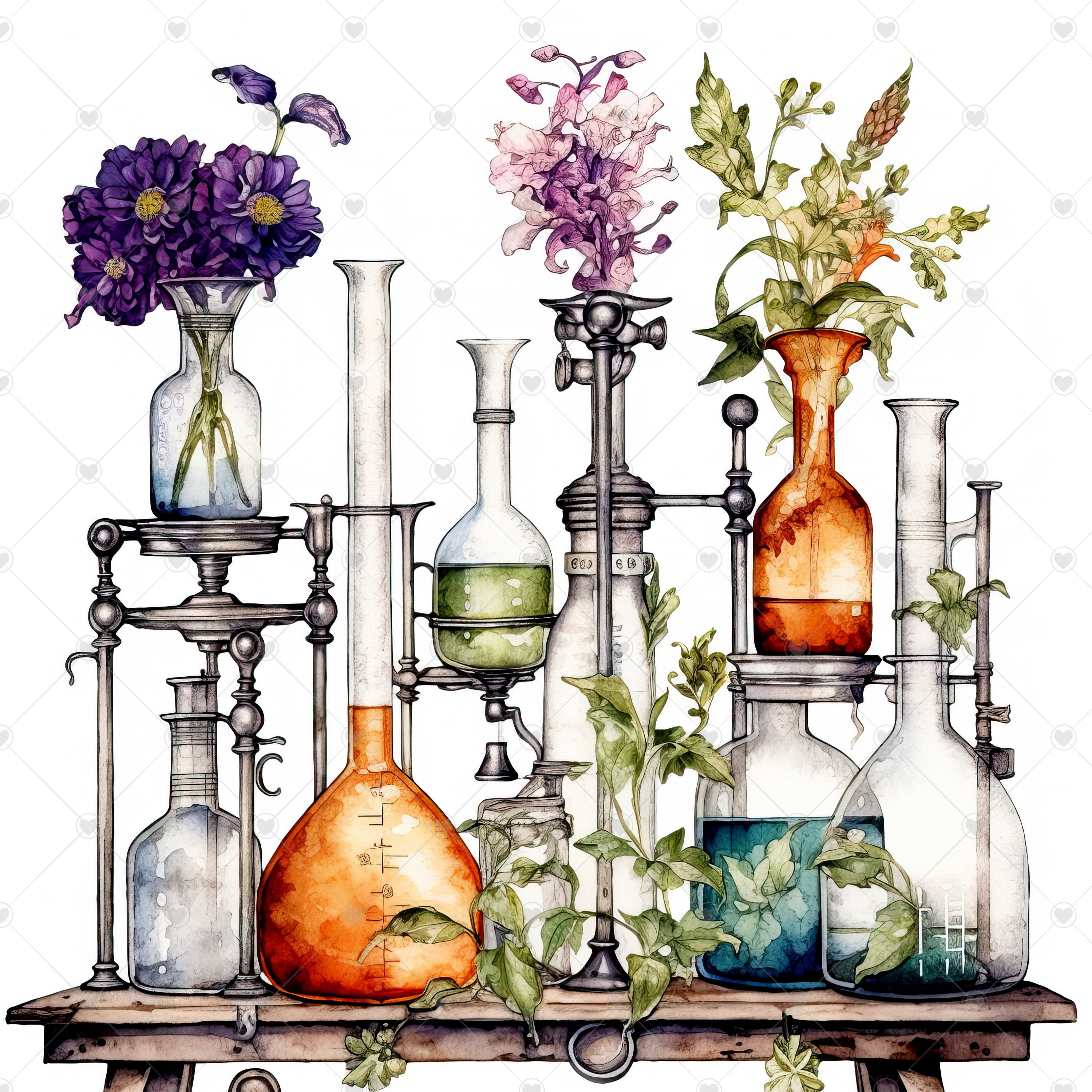Chemistry Glassware With Flowers Clipart Bundle 10 High - Etsy