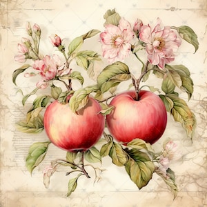 Shabby Chic Apples Clipart Bundle 10 High Quality Watercolor Jpgs Fruit ...