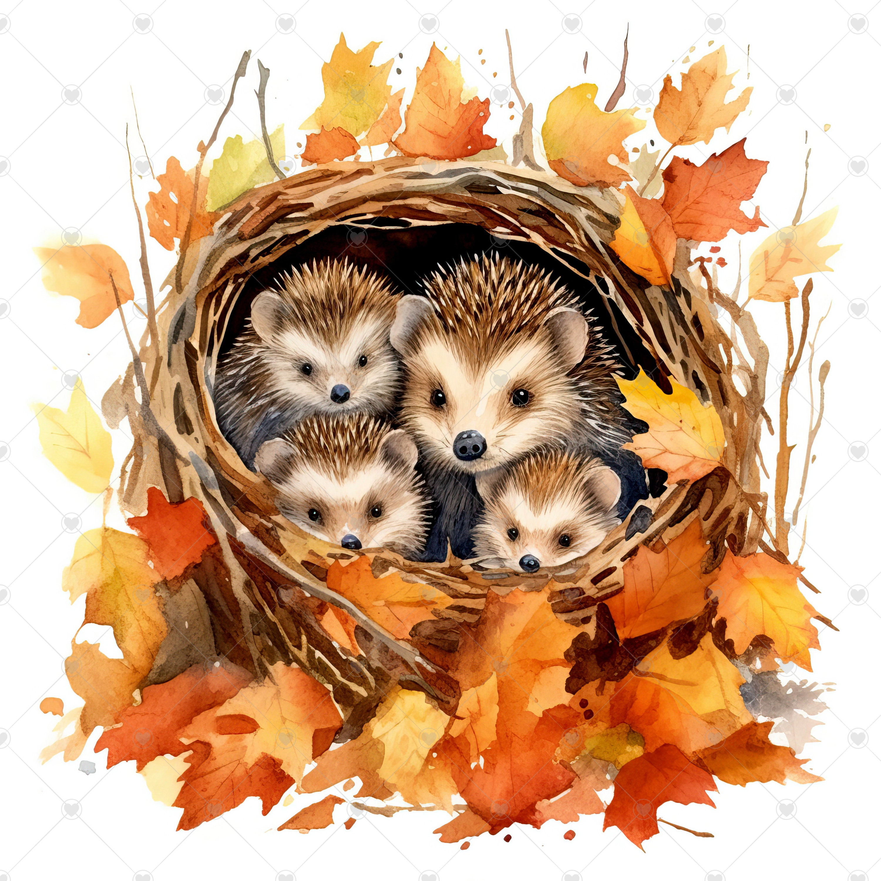 Hedgehog Family Nestled Together Clipart Bundle 10 High - Etsy