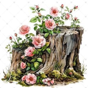 Wild Roses Growing Out of a Tree Stump Clipart Bundle- 10 High Quality ...