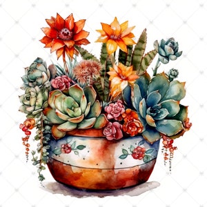 Cactus in Flower Pot Clipart Bundle- 10 High Quality Watercolor Jpgs ...