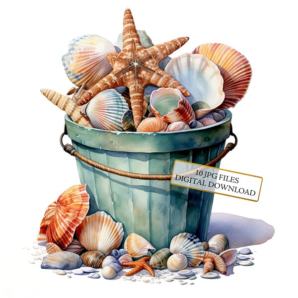 Craft Seashells - Etsy