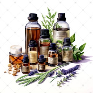 Essential Oils With Herbs Clipart Bundle- 10 High Quality Watercolor ...