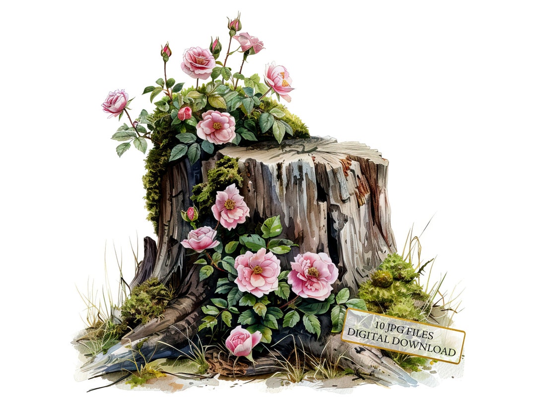 Wild Roses Growing Out of a Tree Stump Clipart Bundle- 10 High Quality ...