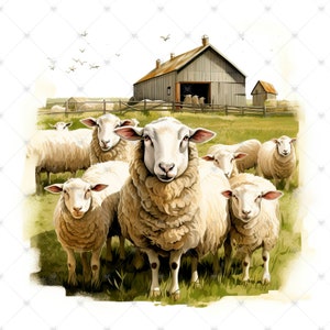 Sheep on Farm Clipart Bundle- 10 High Quality Watercolor Jpgs- Animal ...