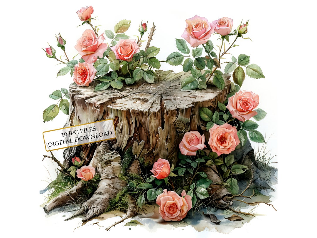Pink Roses Growing Out of a Tree Stump JPG Clipart Bundle- Digital ...