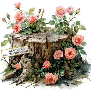 Pink Roses Growing Out of a Tree Stump JPG Clipart Bundle- Digital ...
