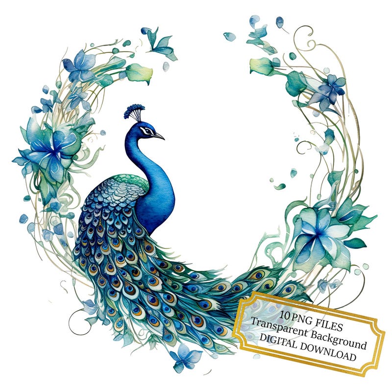 Peacock Framed Canvas - Etsy