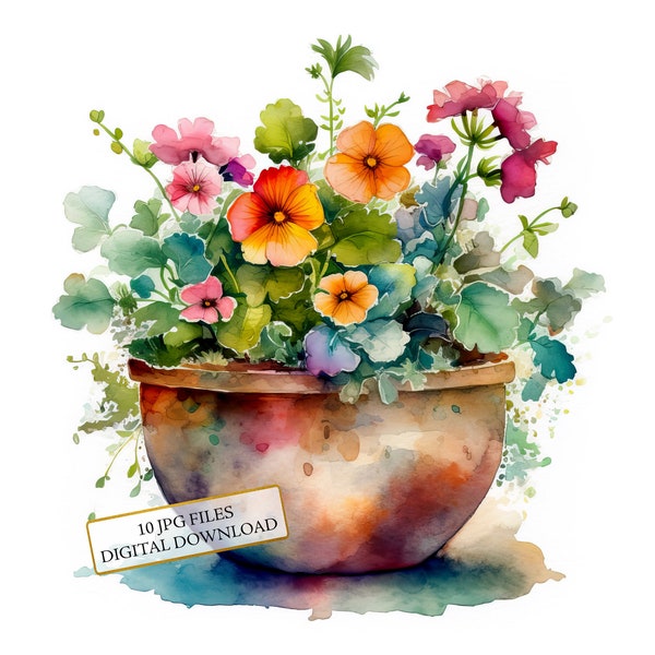 Flowers in Pots - Etsy