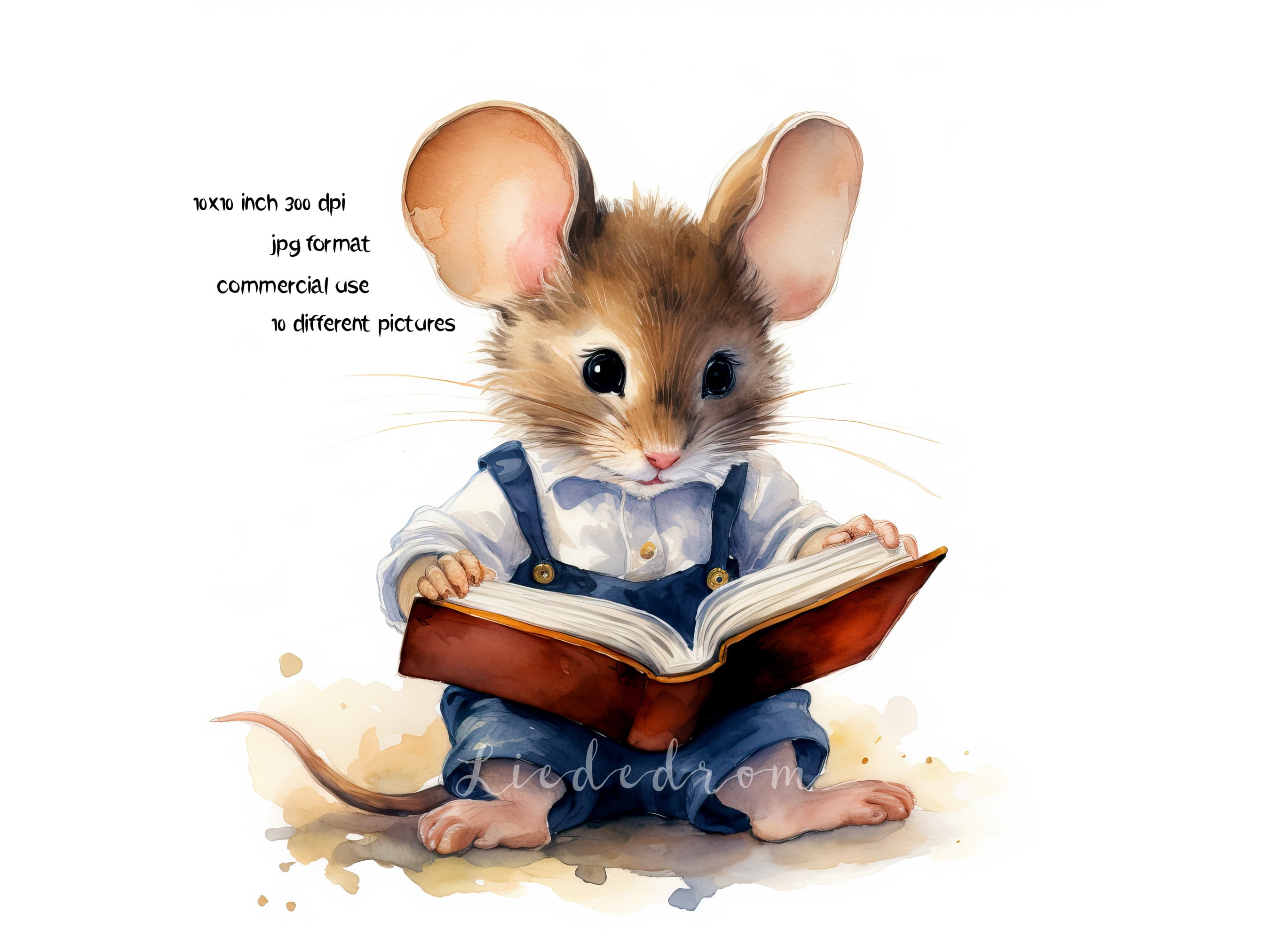 Little Mouse Student Reading a Book Clipart Bundle 10 High - Etsy
