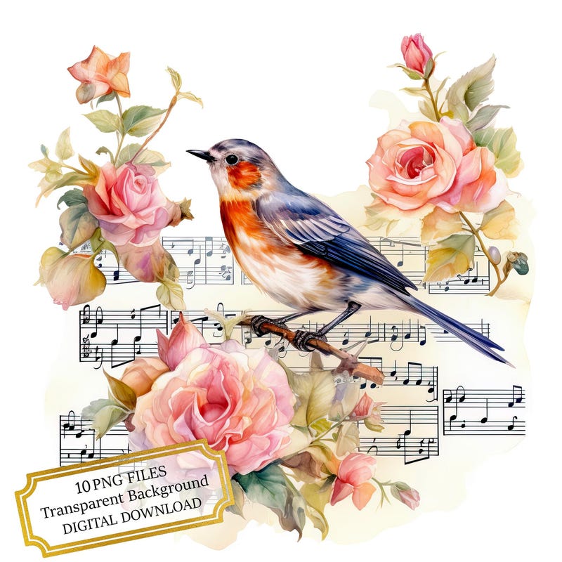 Singing Bird Clipart - Etsy