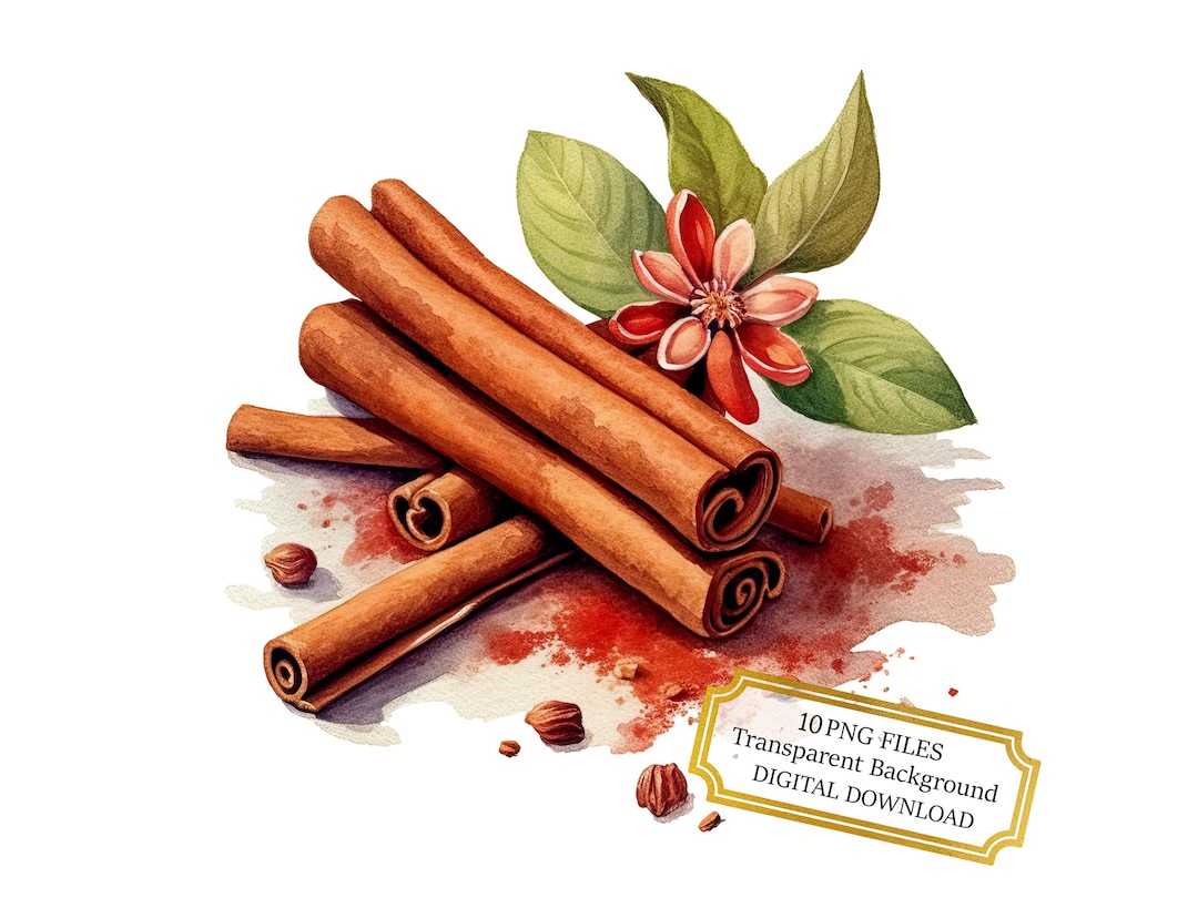 Cinnamon Sticks Clipart Bundle- 10 High Quality Watercolor Pngs ...