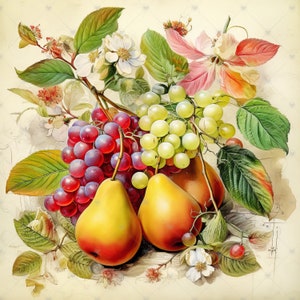 Shabby Chic Still Life Fruits Clipart Bundle- 10 High Quality ...