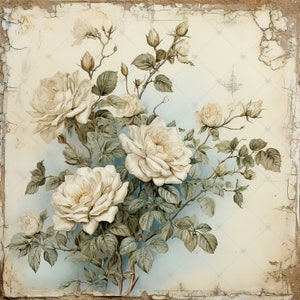 Shabby Chic Vintage White Roses Page Clipart Bundle 10 High Quality ...
