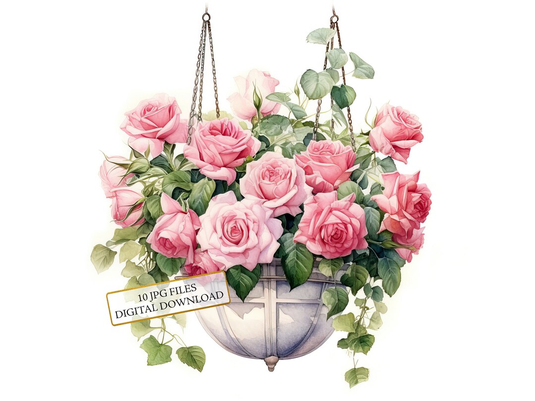 Pink Roses in Hanging Basket Clipart Bundle 10 High Quality Watercolor ...
