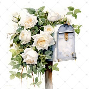 Mailbox With White Roses Clipart Bundle- 10 High Quality Watercolor ...