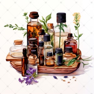 Essential Oils With Herbs Clipart Bundle- 10 High Quality Watercolor ...