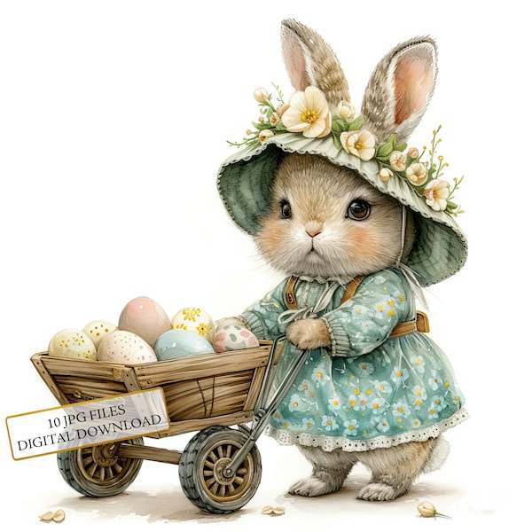 Bunny Clipart - Etsy